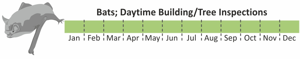 Survey Calendar | Aspect Ecology
