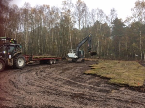 February 2021: Habitat translocation can be a useful mitigation tool ...