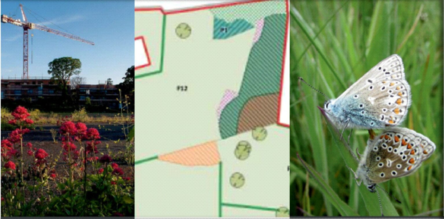 April 2023: Biodiversity Metric 4.0 - An updated version of the ...